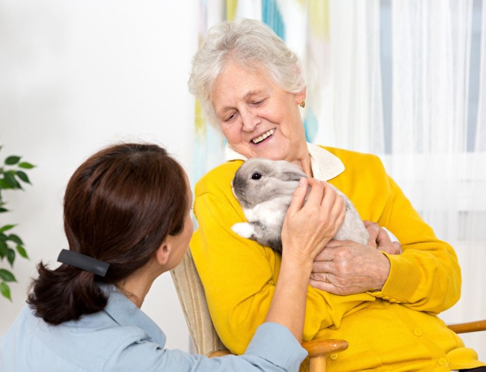 Foods Causing and Eliminating Excess Mucus in The Body